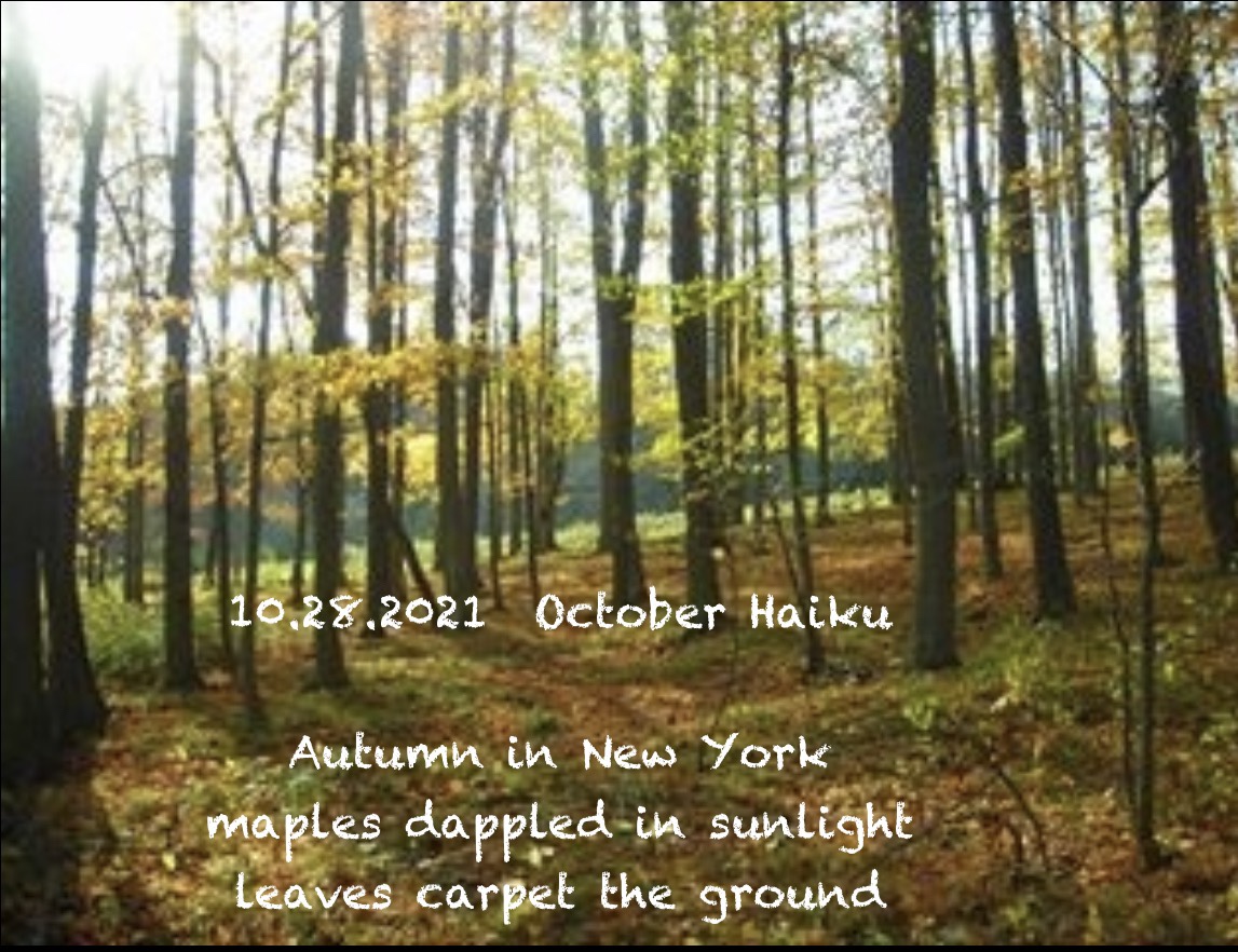 10.28.2021 October Haiku | World So Sweet